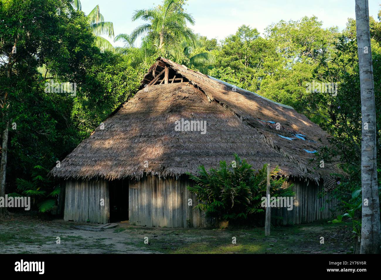 Forest tribes brazil hi-res stock photography and images - Alamy