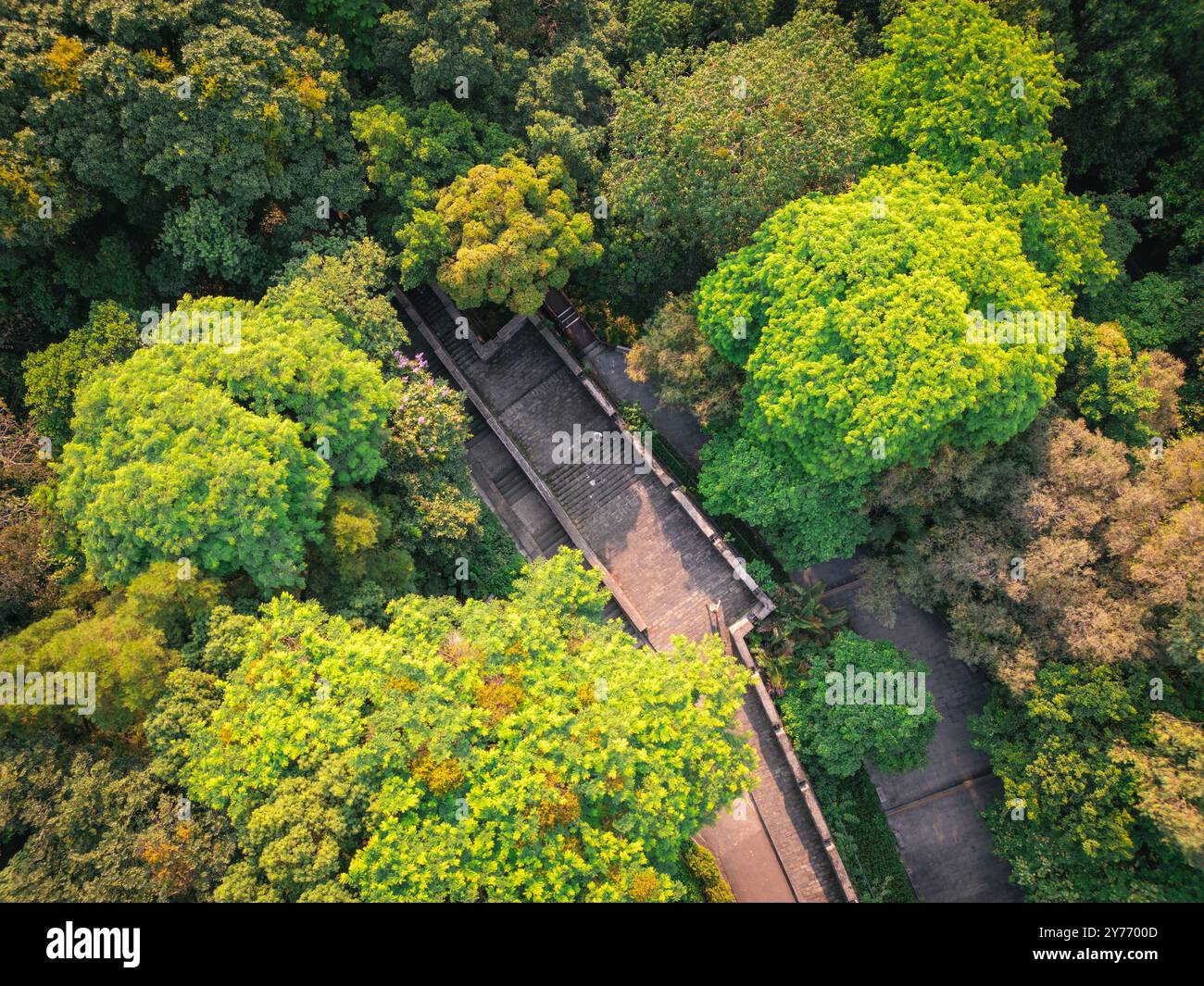 High angle view of Yuexiu park in Guangzhou China Stock Photo - Alamy
