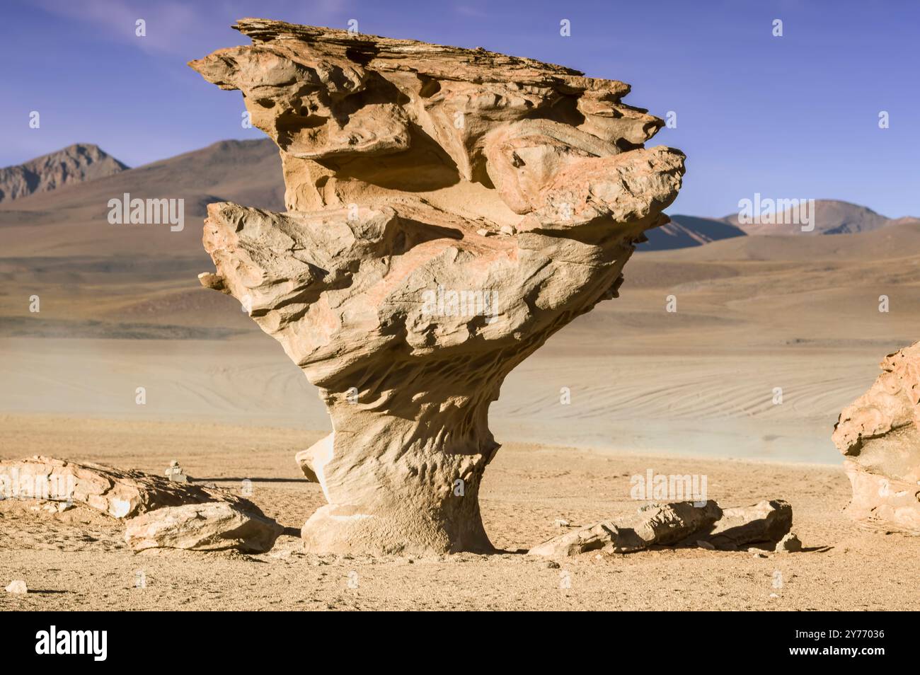 Majestic Arbol de Piedra: The Stone Tree of the Bolivian Desert ...