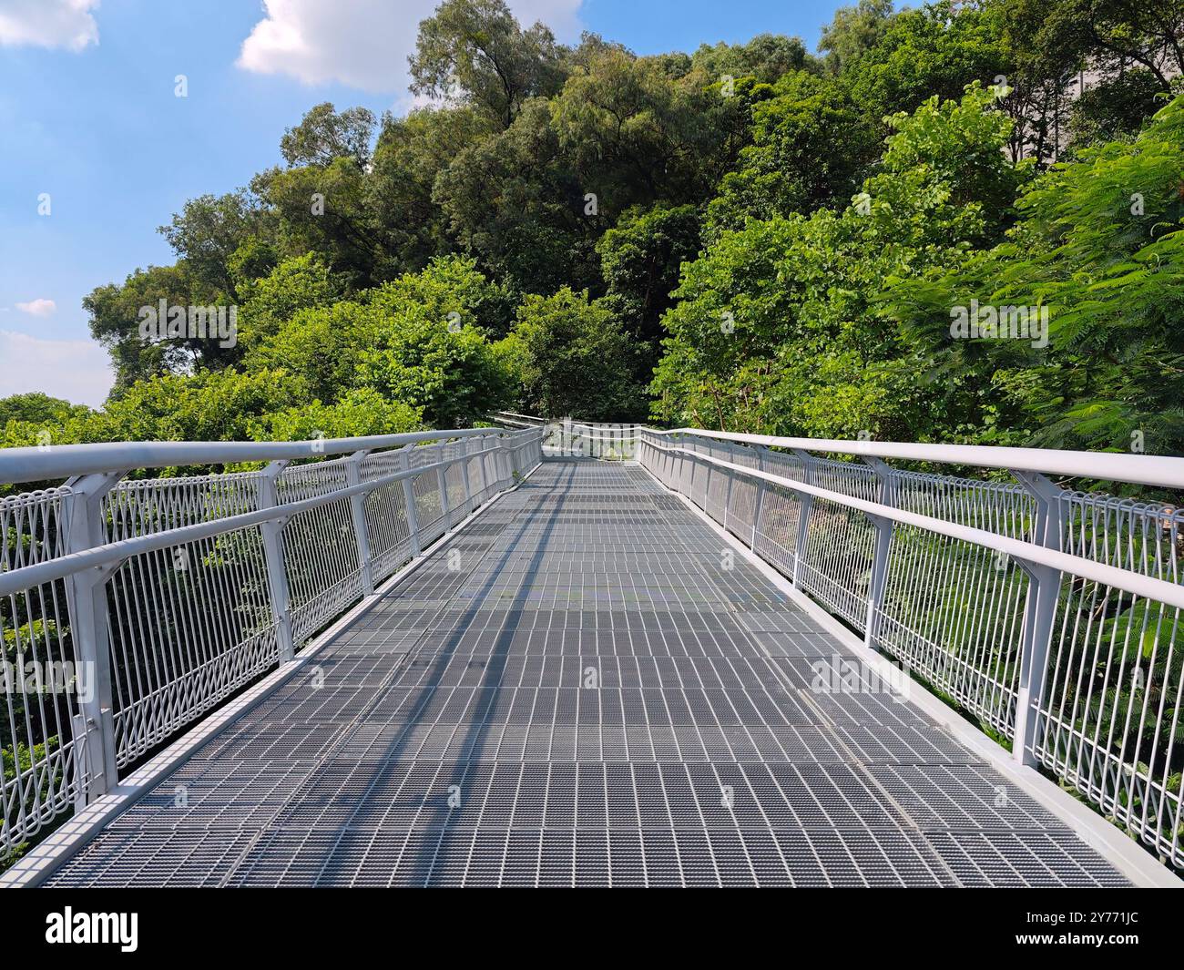 Pathway in nature in Guangzhou China Stock Photo - Alamy
