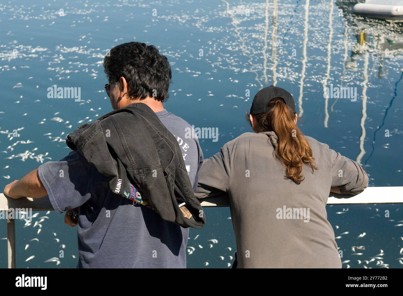 Shocking images of a massive fish die-off in California waters ...