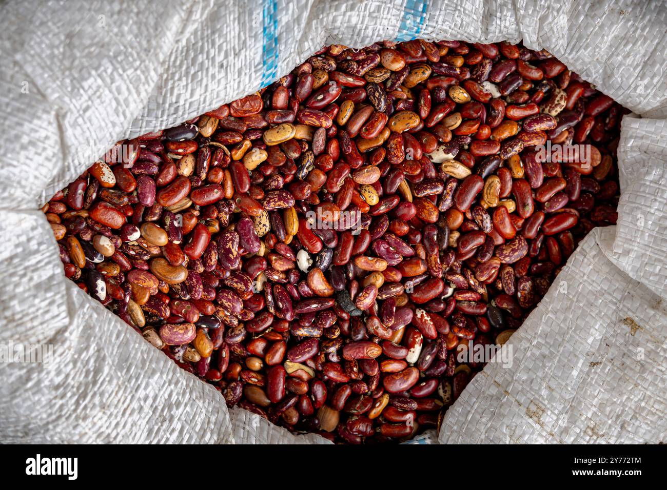Red beans in a white sack Stock Photo - Alamy