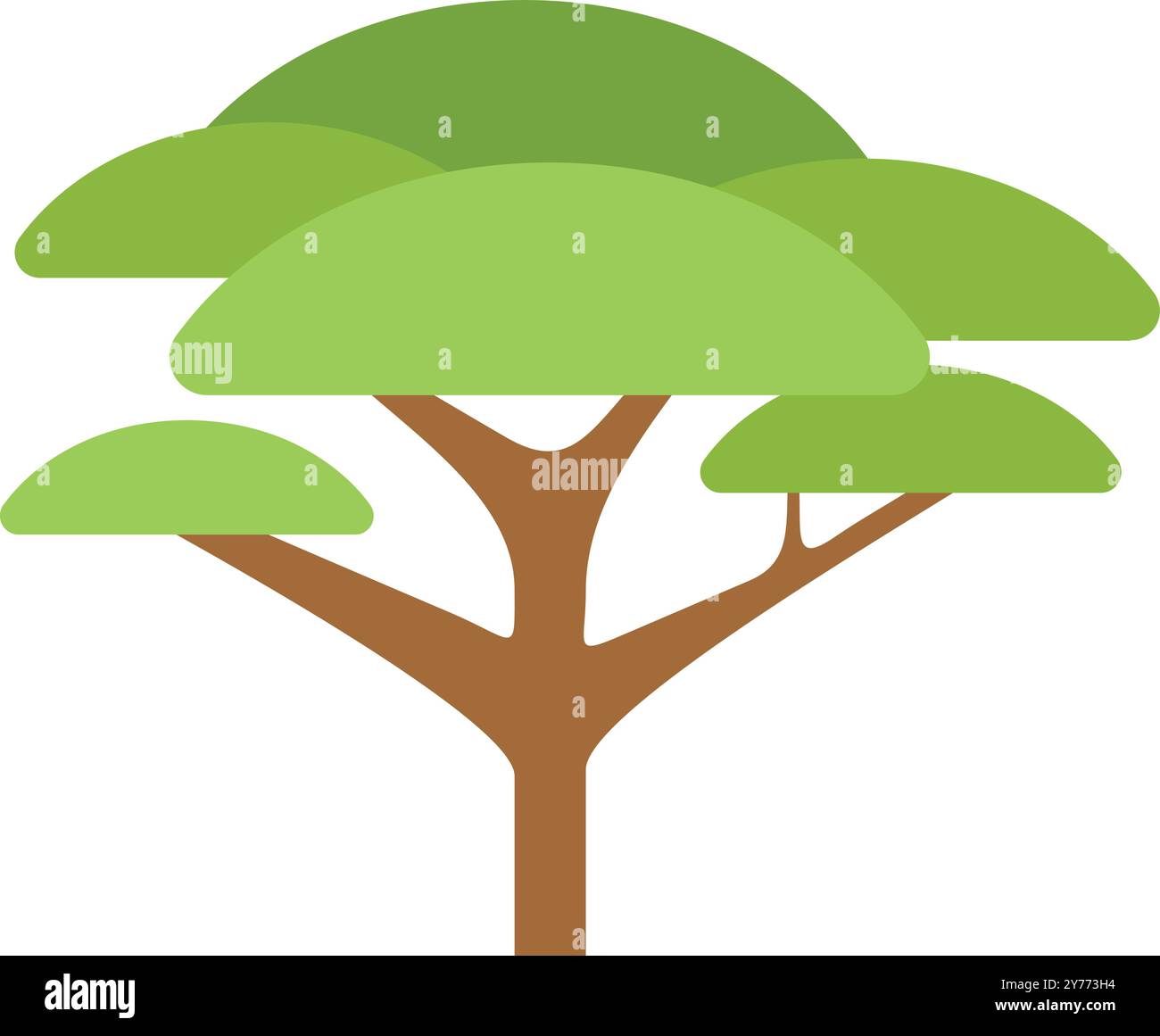 Minimalist vector graphic icon of an acacia tree with lush foliage ...