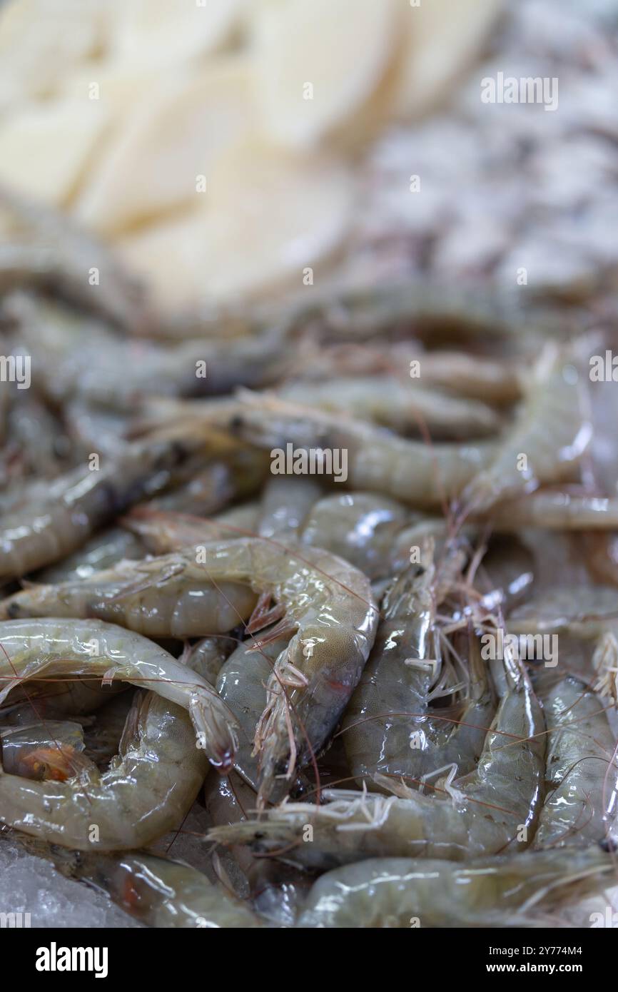 Fresh shrimp are sold at the fish market Stock Photo - Alamy
