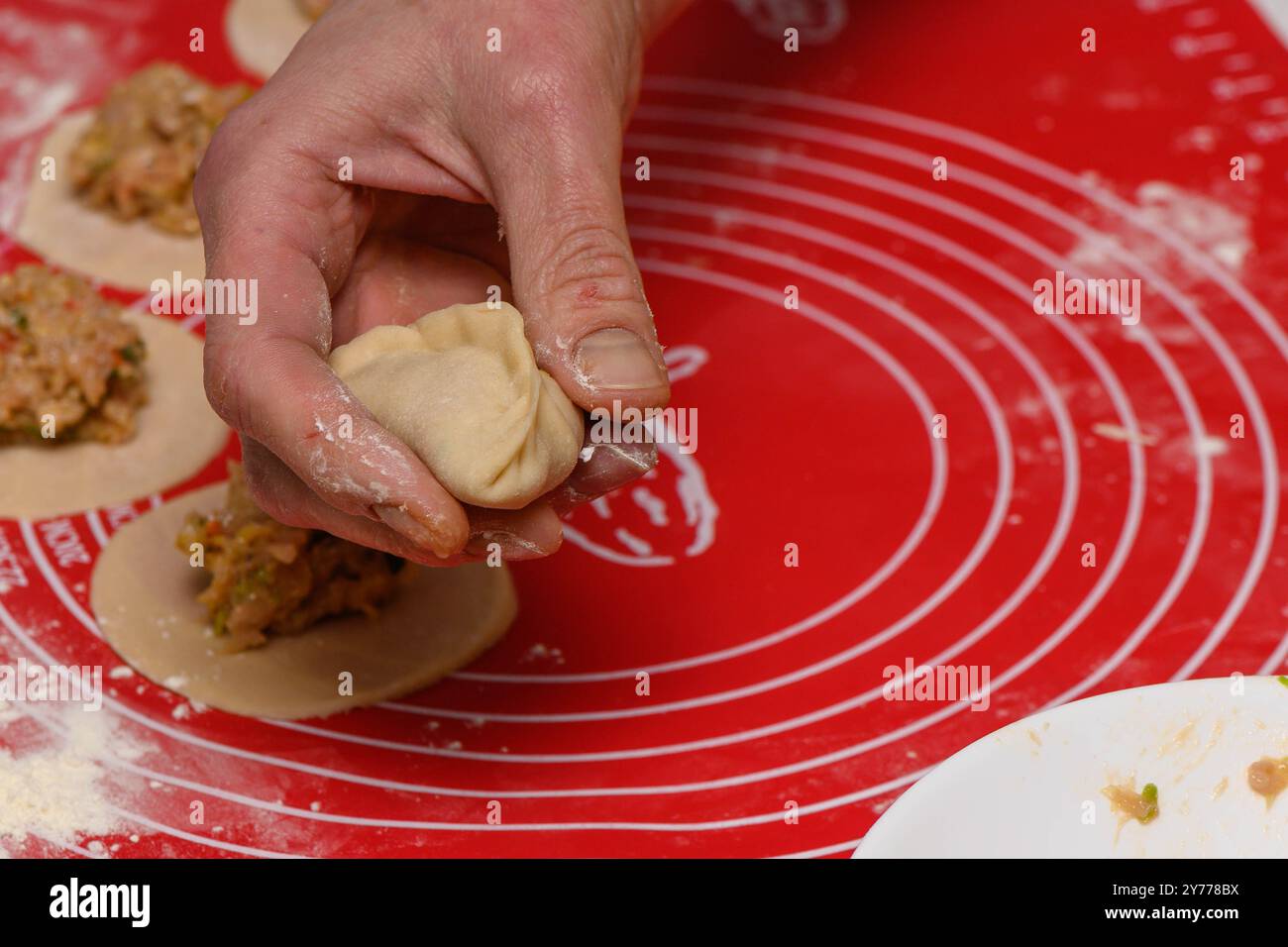 Sculpt dumplings. Traditional Russian cuisine. National dish. Hand ...