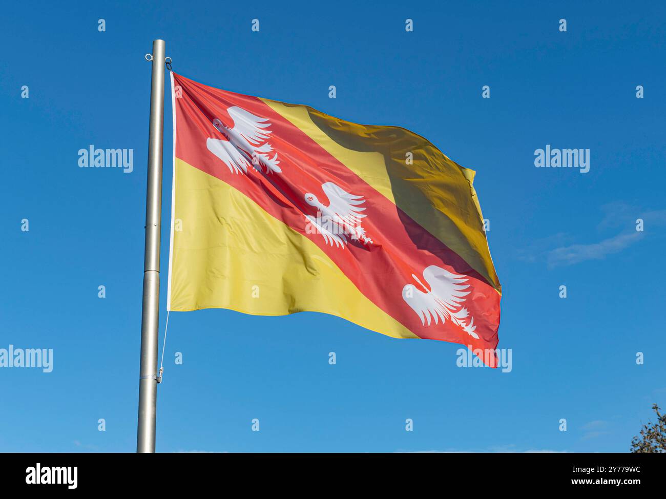 Flag of Lorraine flying in the wind with a blue sky background. region ...