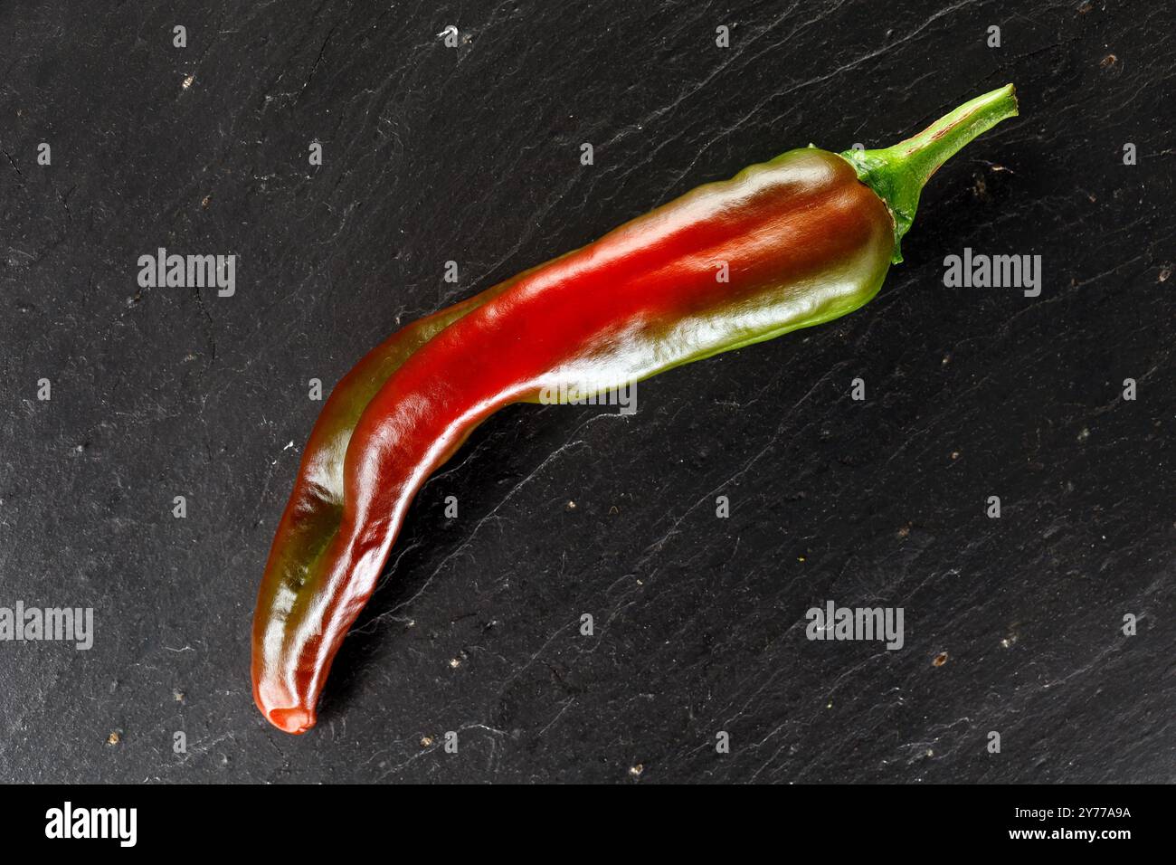 single red ripening anaheim chili pepper on black slate background ...