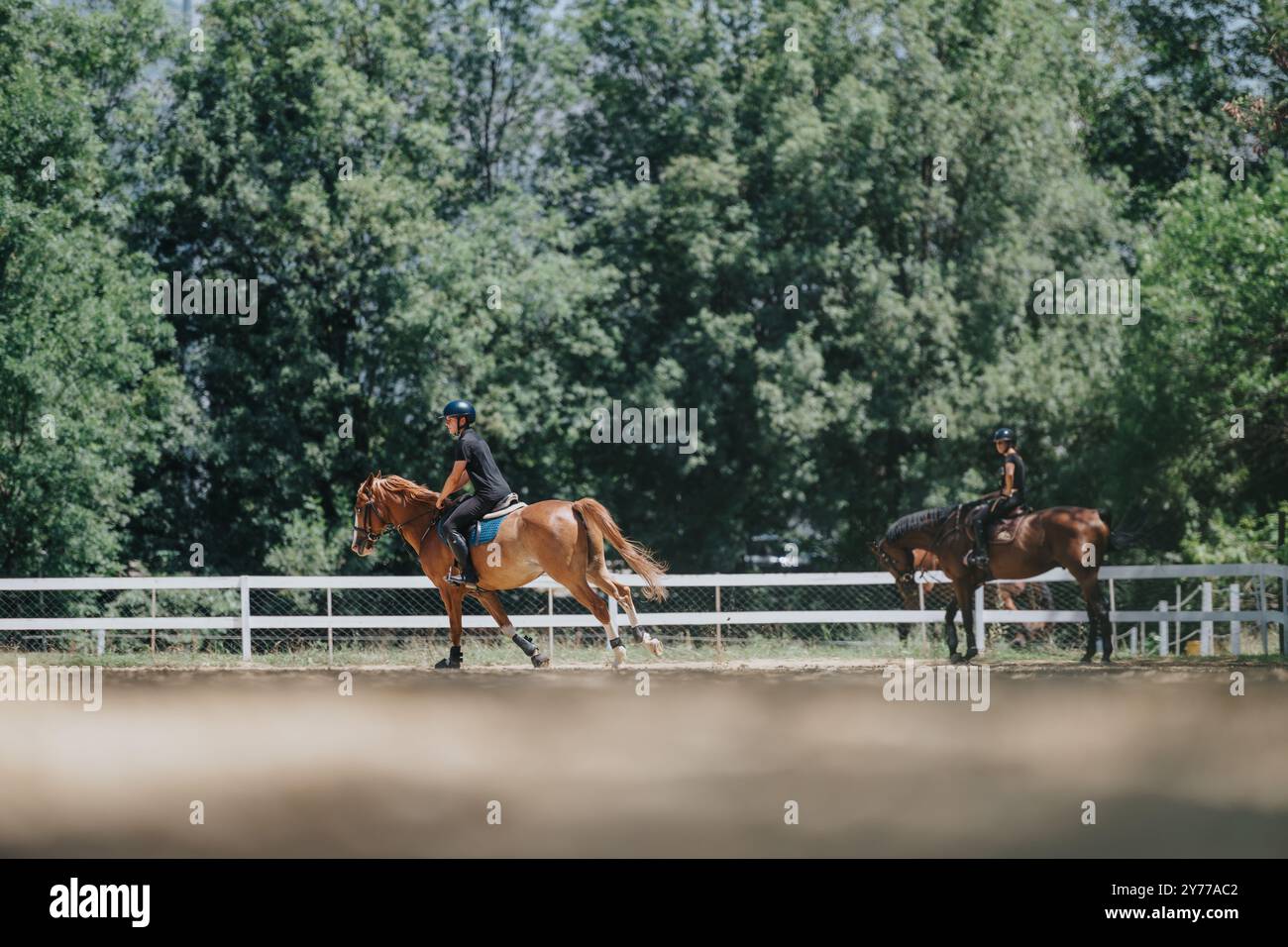 Two riders practicing horseback riding at an outdoor equestrian ...