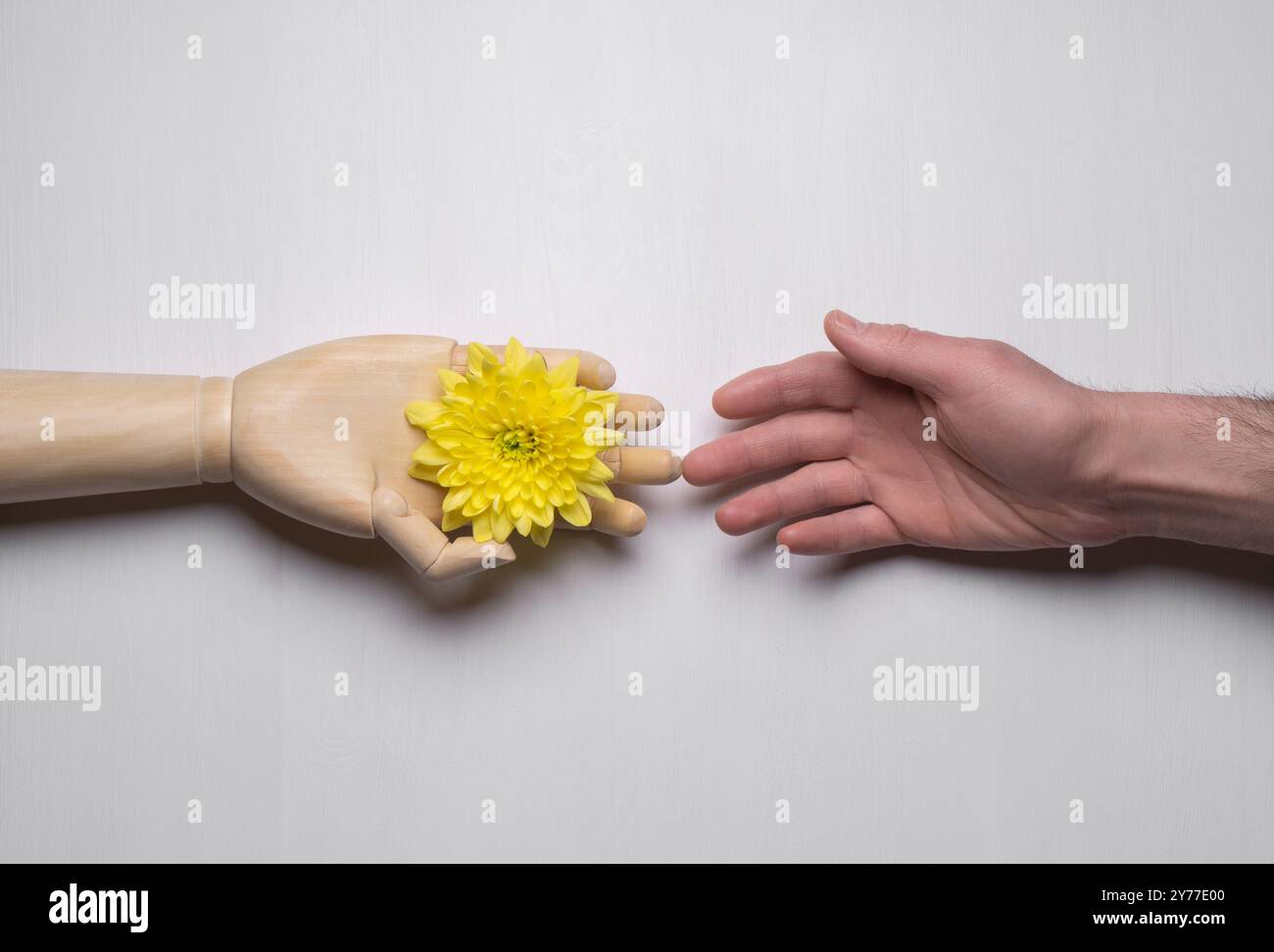 Human interaction with artificial, wooden hand giving flower to person ...