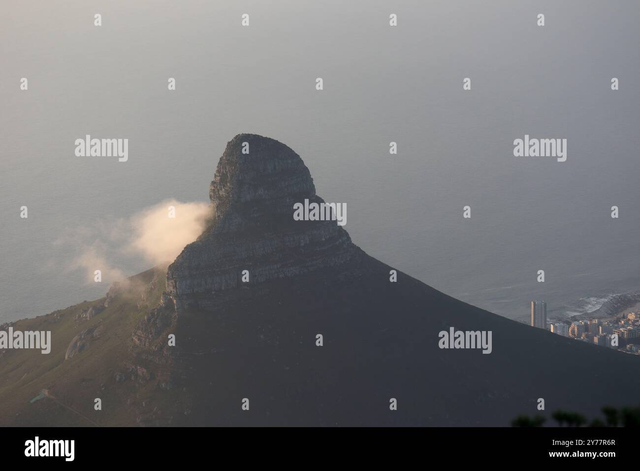 The waiting lion, Lions head mountain looking out over Cape Town City ...