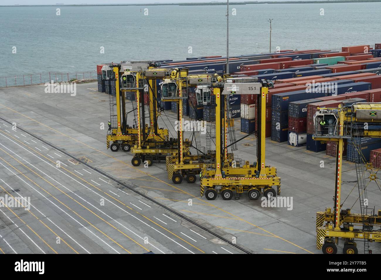 Yellow straddle carriers are lined up at the Kingston Freeport ...