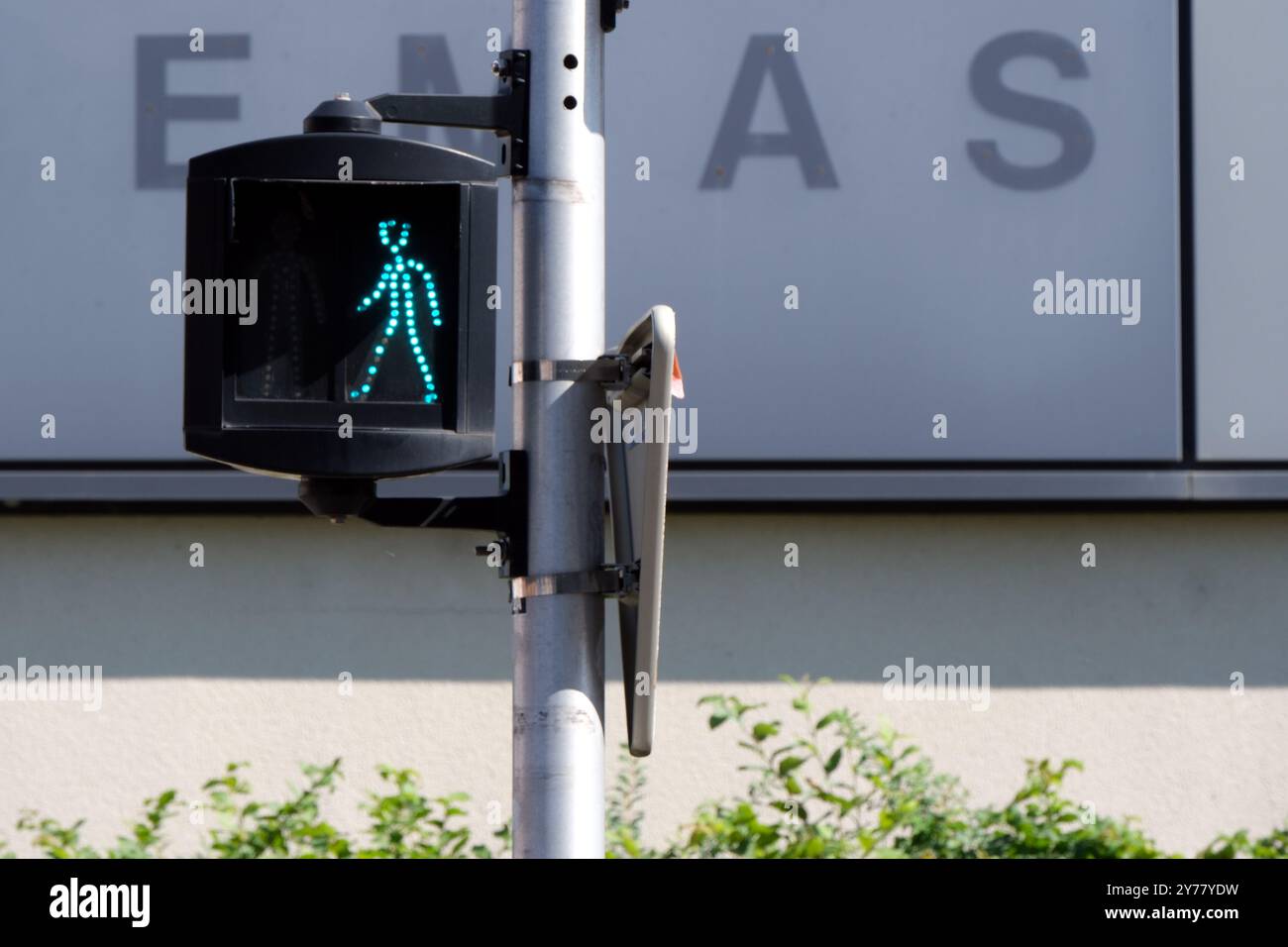 Pedestrian semaphore traffic light with green go signal in shape of man ...