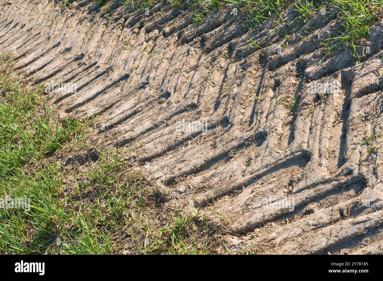 The trace of the tractor, dry soil in the field Stock Photo - Alamy