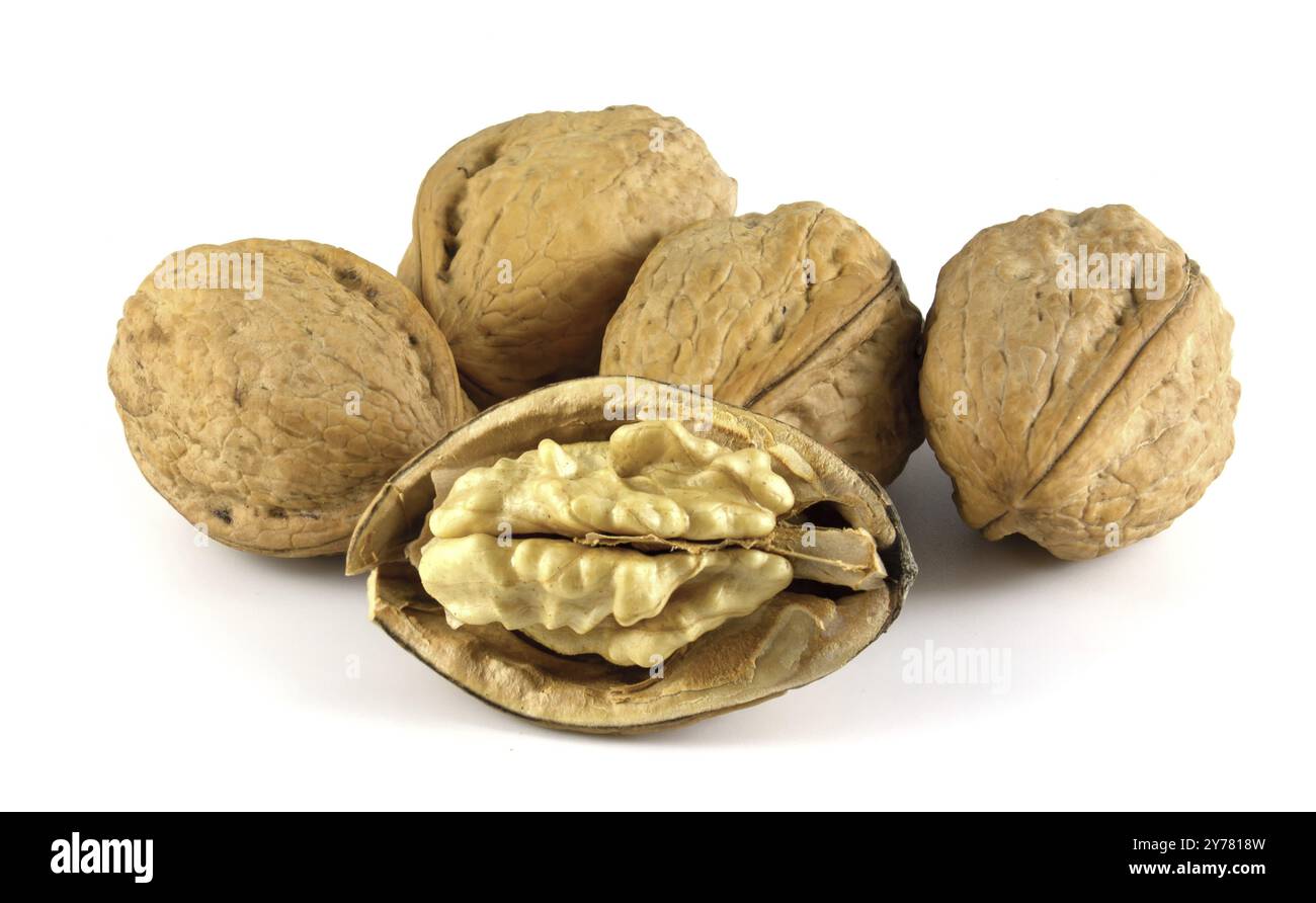 Walnuts isolated on white background. Whole and shelled nuts. Juglans ...