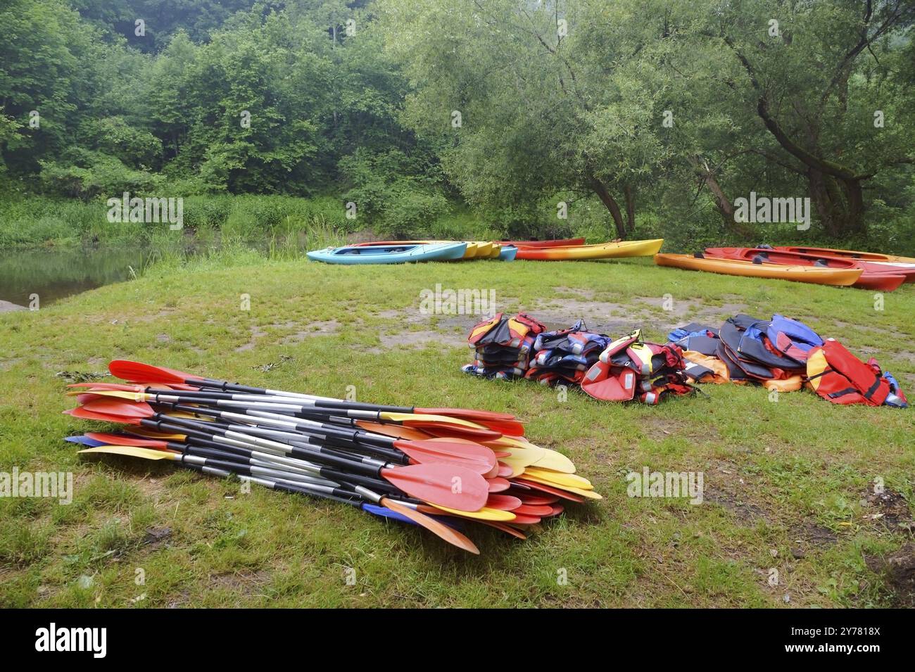 The oars from the canoes on the shore, preparing for the Canoeing Stock ...