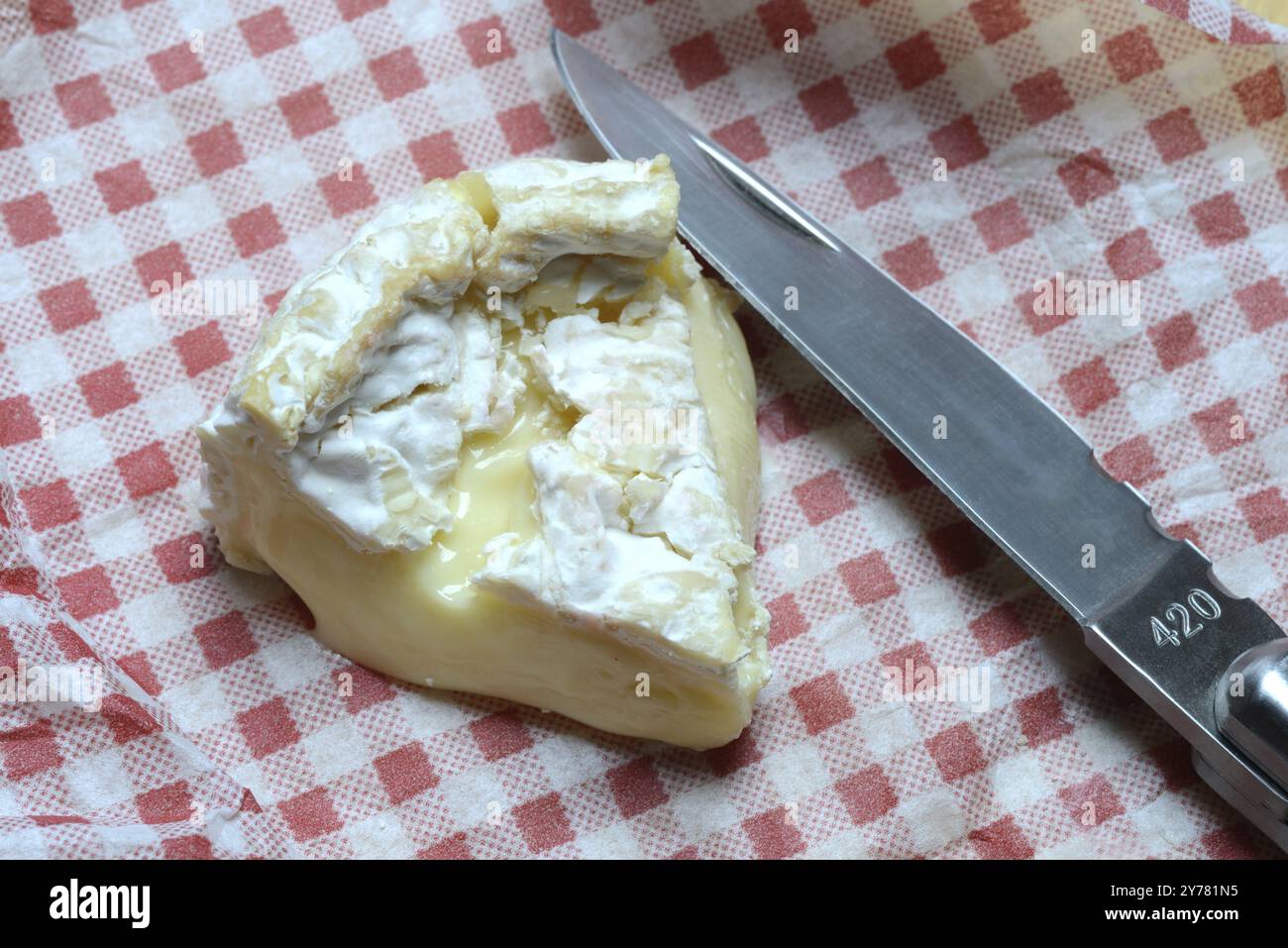 French Camembert, sliced cheese, France, Europe Stock Photo - Alamy