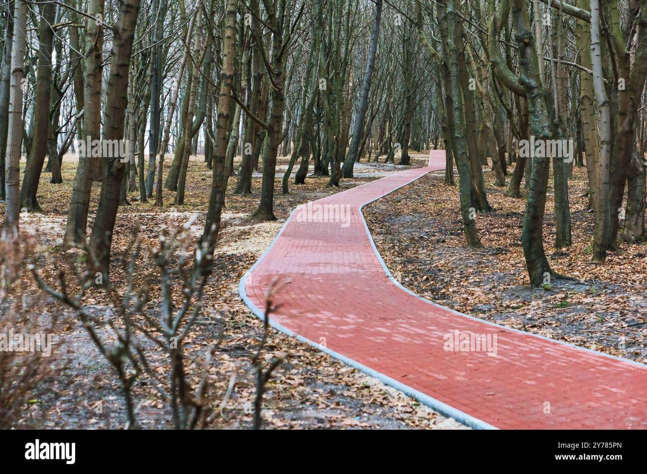 Red tile path in the Park, walking path in the spring Park Stock Photo ...