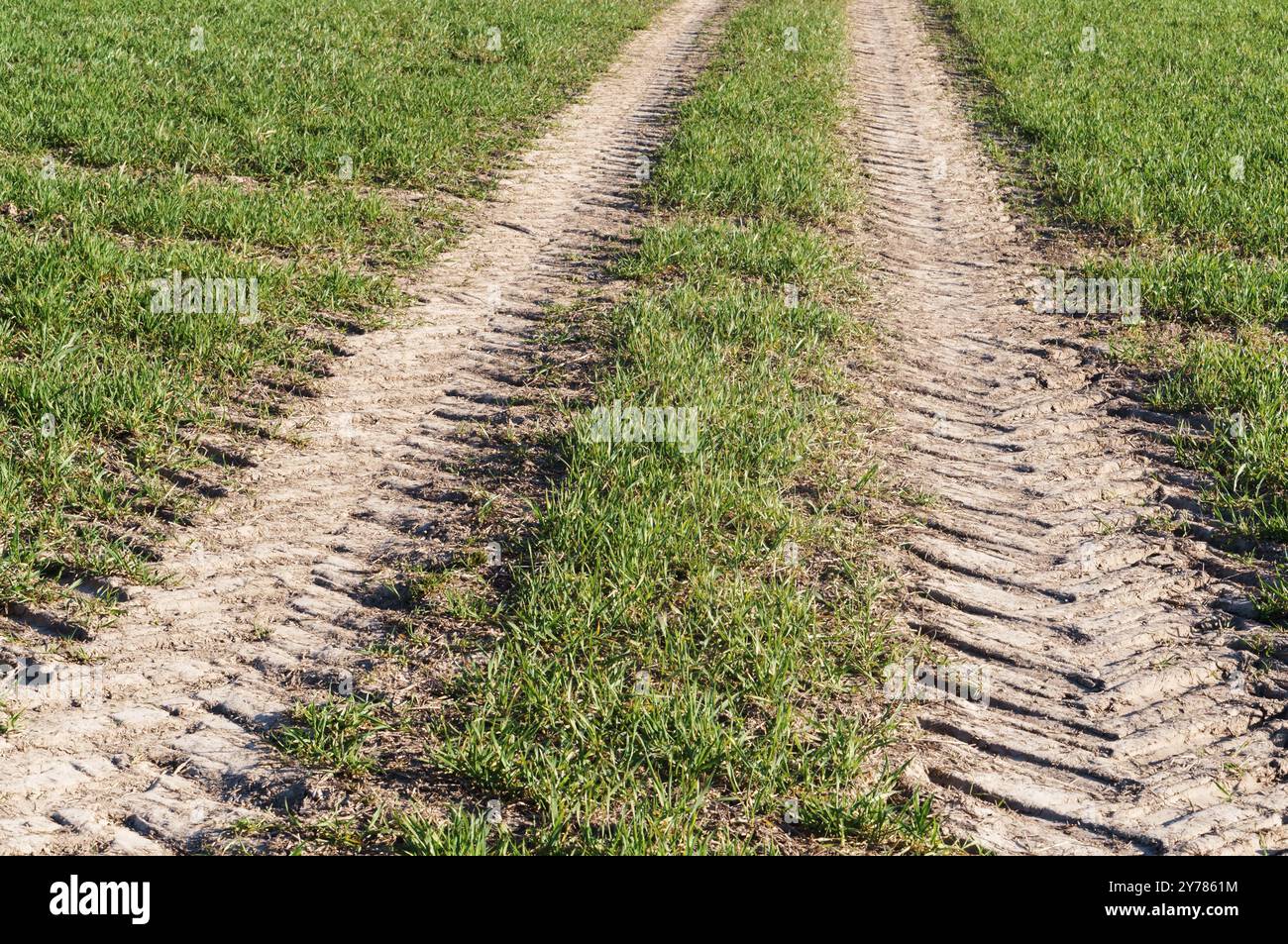 Tracks from a crawler tractor, tracks from a tractor on the ground ...
