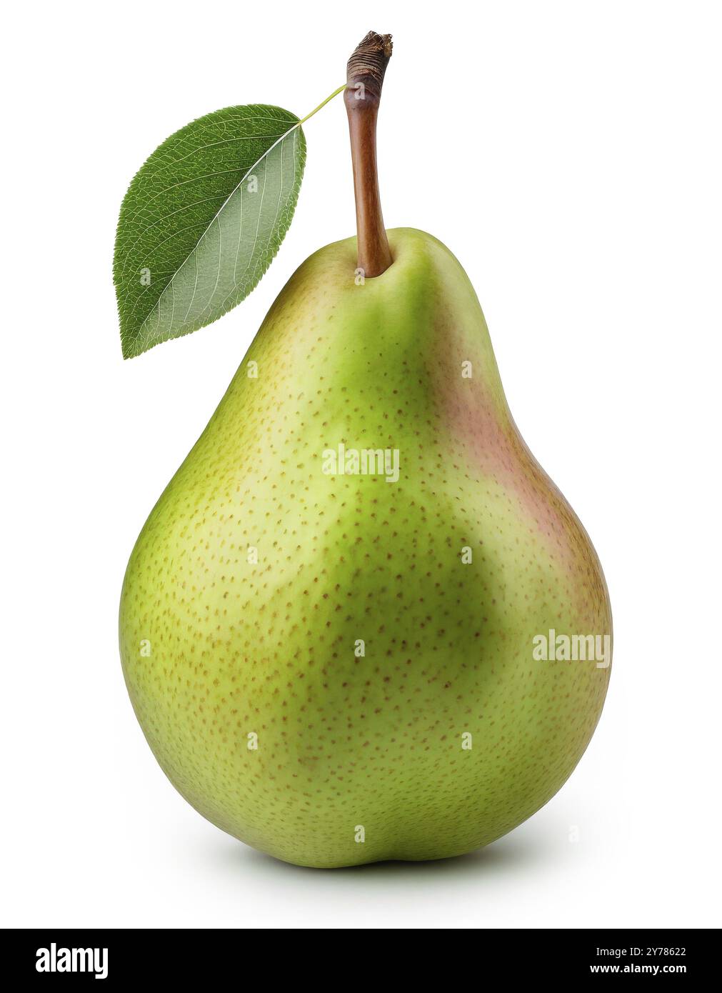 Pear isolated on white background with clipping path and full depth of ...