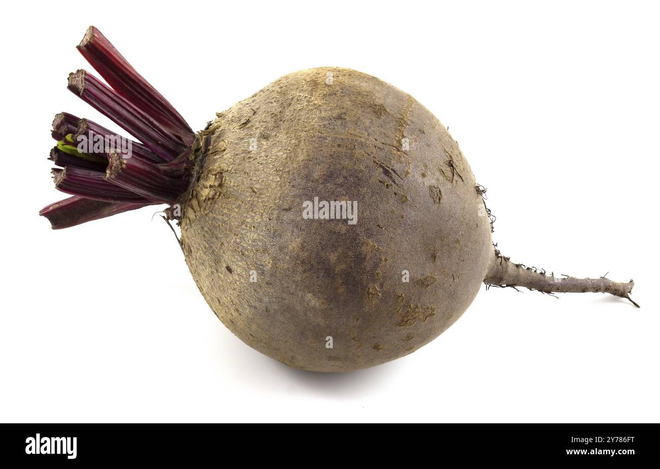 Red beet table isolated on white background. Vegetables close up Stock ...