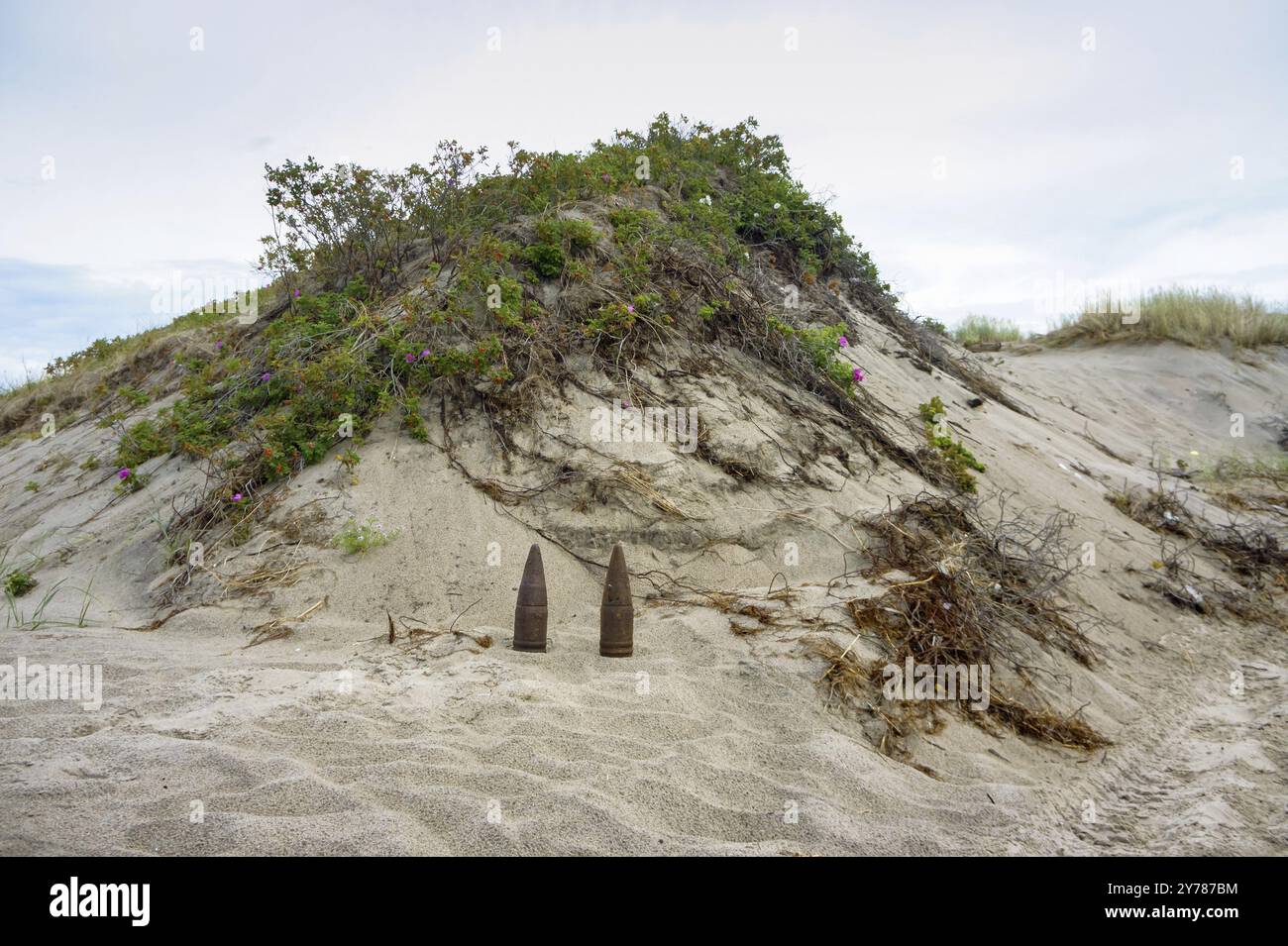 Two shell casings from the war, shell casings from bombs Stock Photo ...