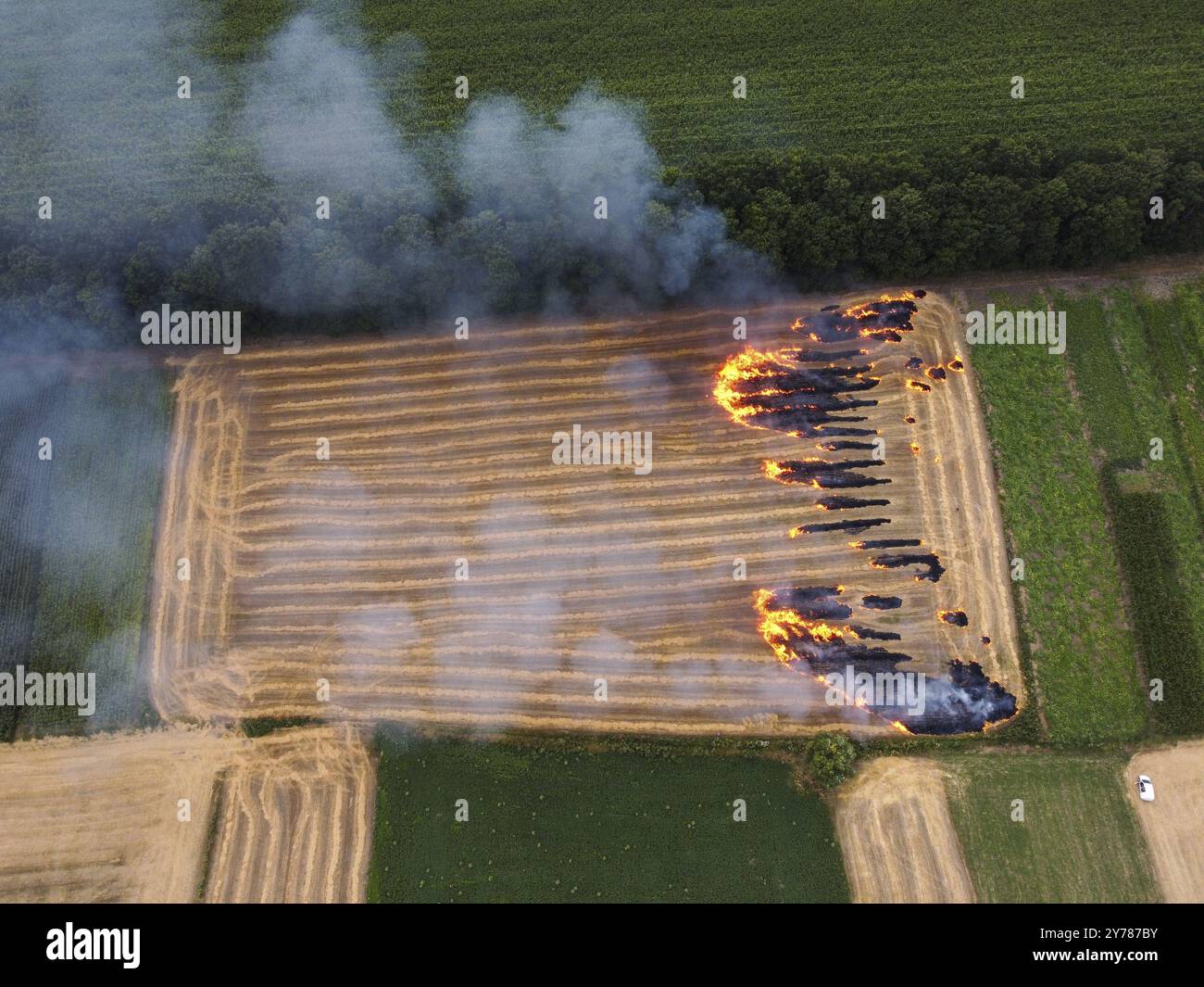 Plot of land with straw, fire in the field, burning of straw residues ...