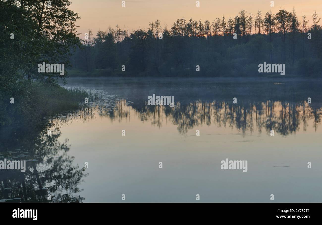 Clear night, moonlight, the reflection of the moon in the pond Stock ...