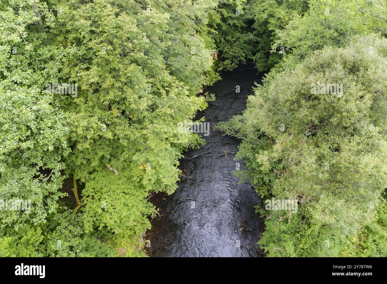 Shallow roaring river, shallow clean river in summer Stock Photo - Alamy