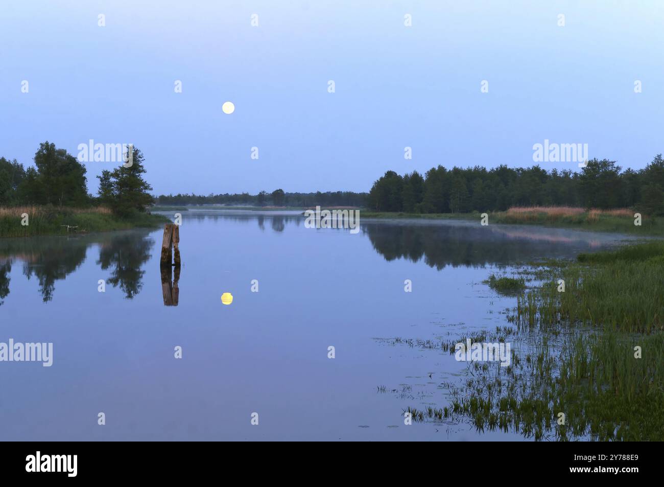 Clear night, moonlight, the reflection of the moon in the pond Stock ...