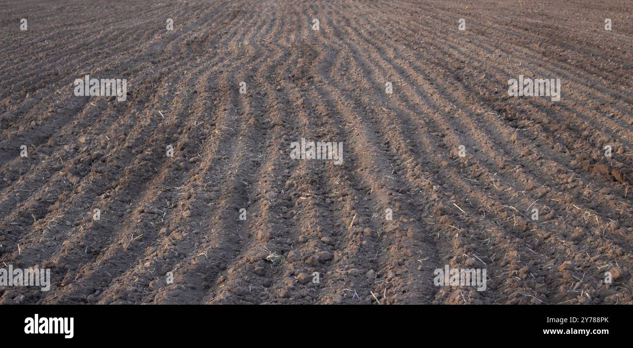 Soil on the field of agriculture preparatory to sowing, background ...