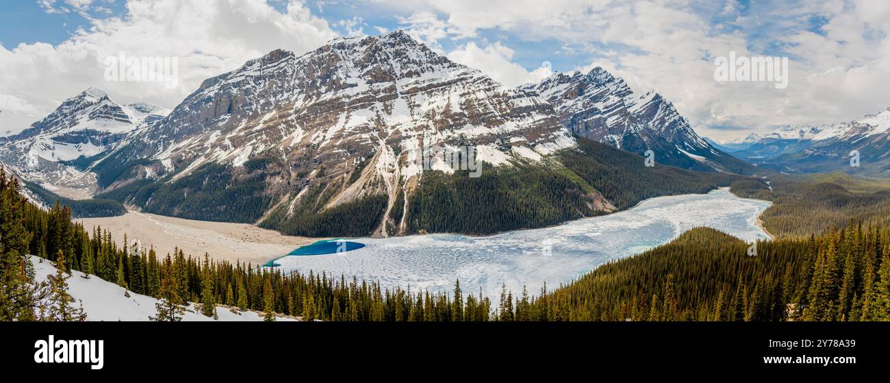 Spring time in Peyto Lake, Banff Jasper National Park during May with ...