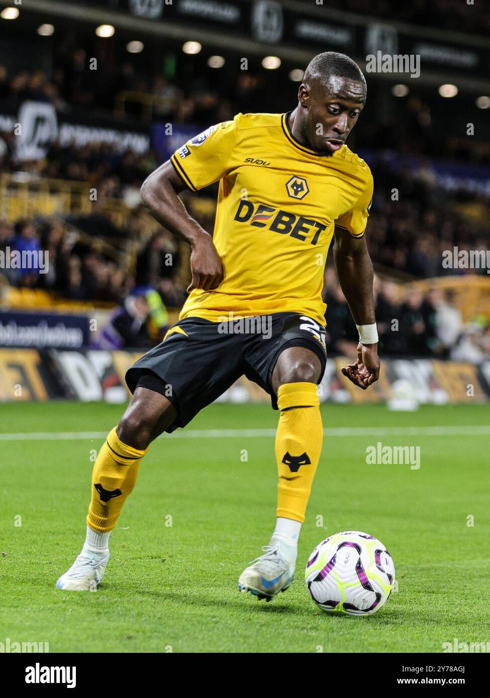 Forbs hi-res stock photography and images - Alamy