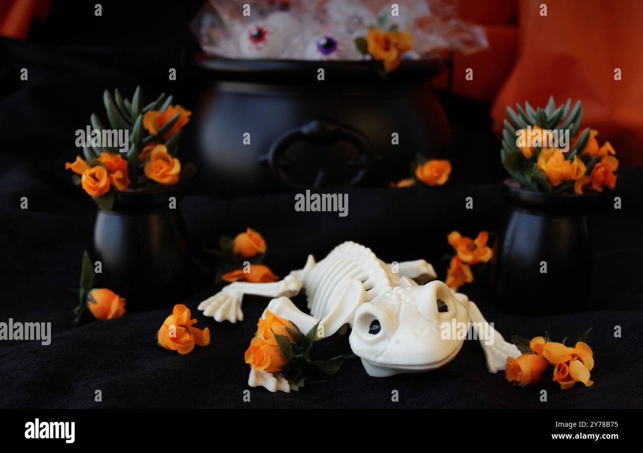 Halloween dead frog skeleton with orange color flowers in front of a ...