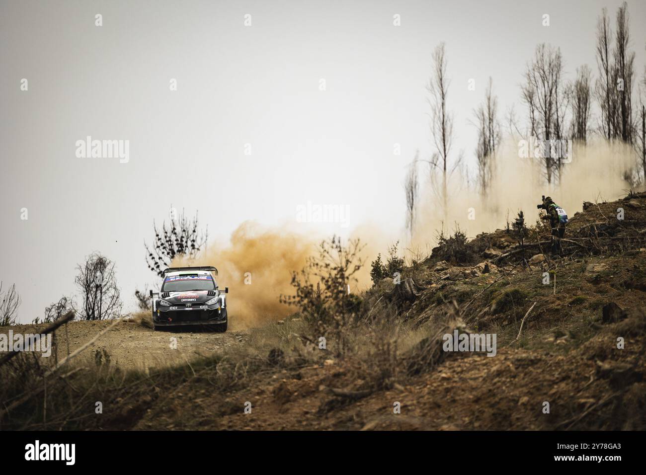 33 EVANS Elfyn, MARTIN Scott, Toyota GR Yaris Rally1, action during the ...