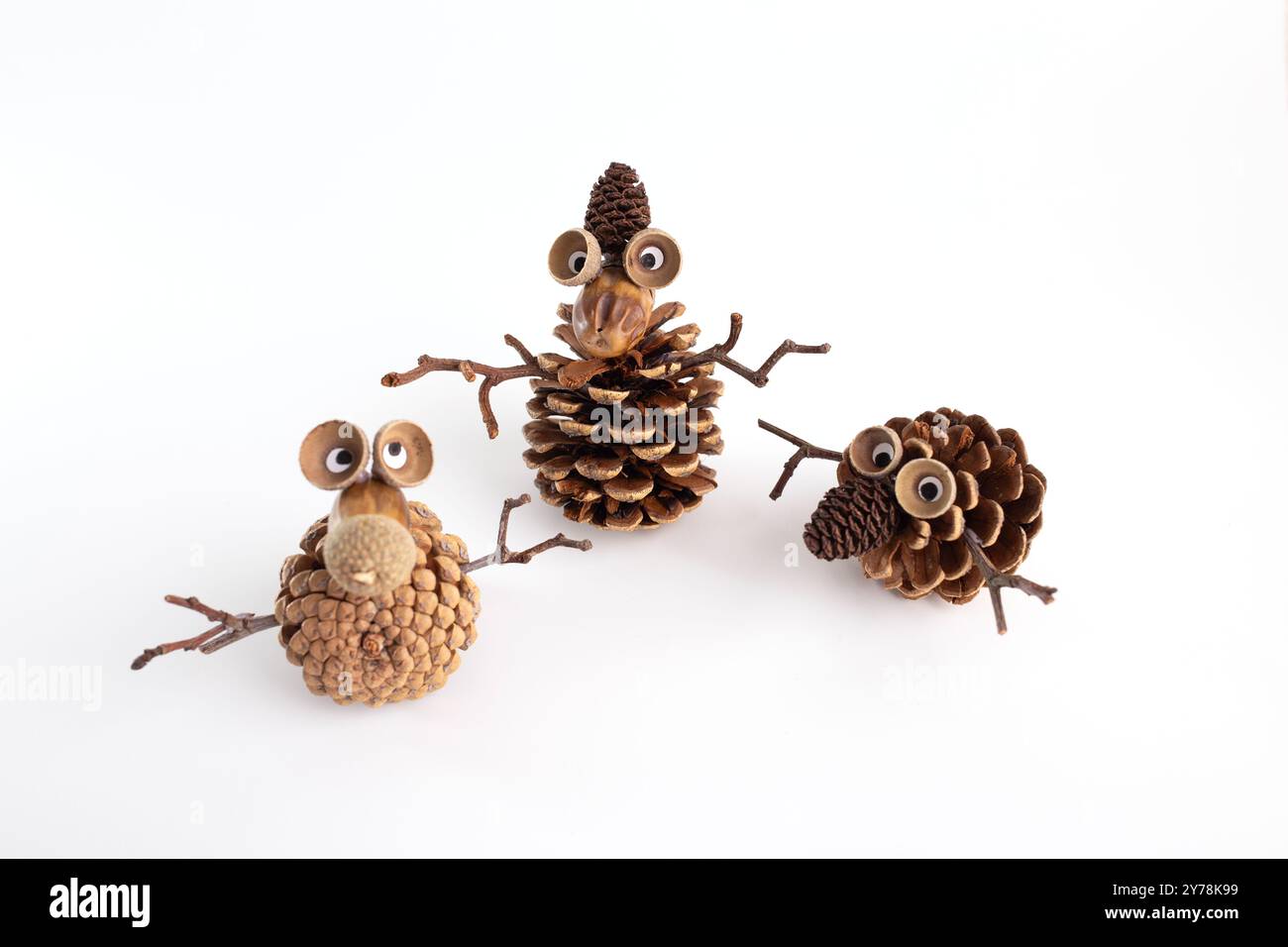 Collection of pine cones and acorns resembling creatures, with acorns ...