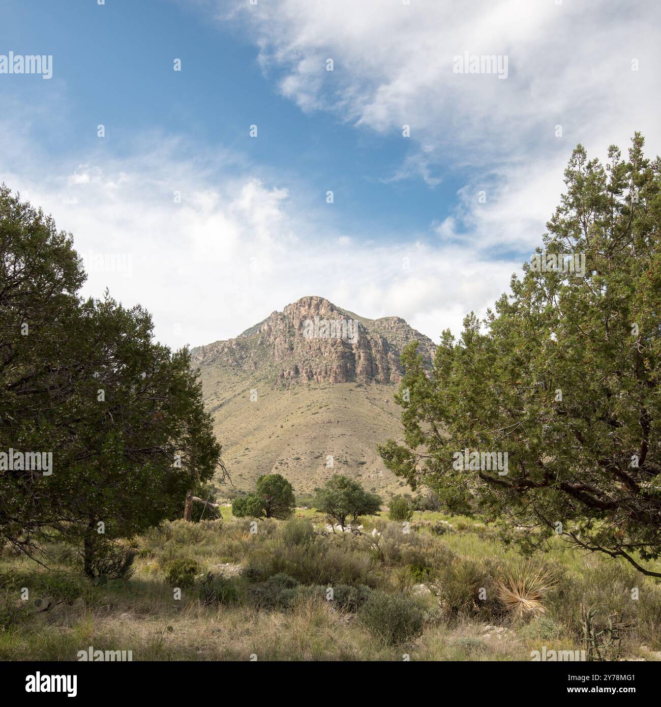 Guadalupe Mountains National Park, Texas Stock Photo - Alamy