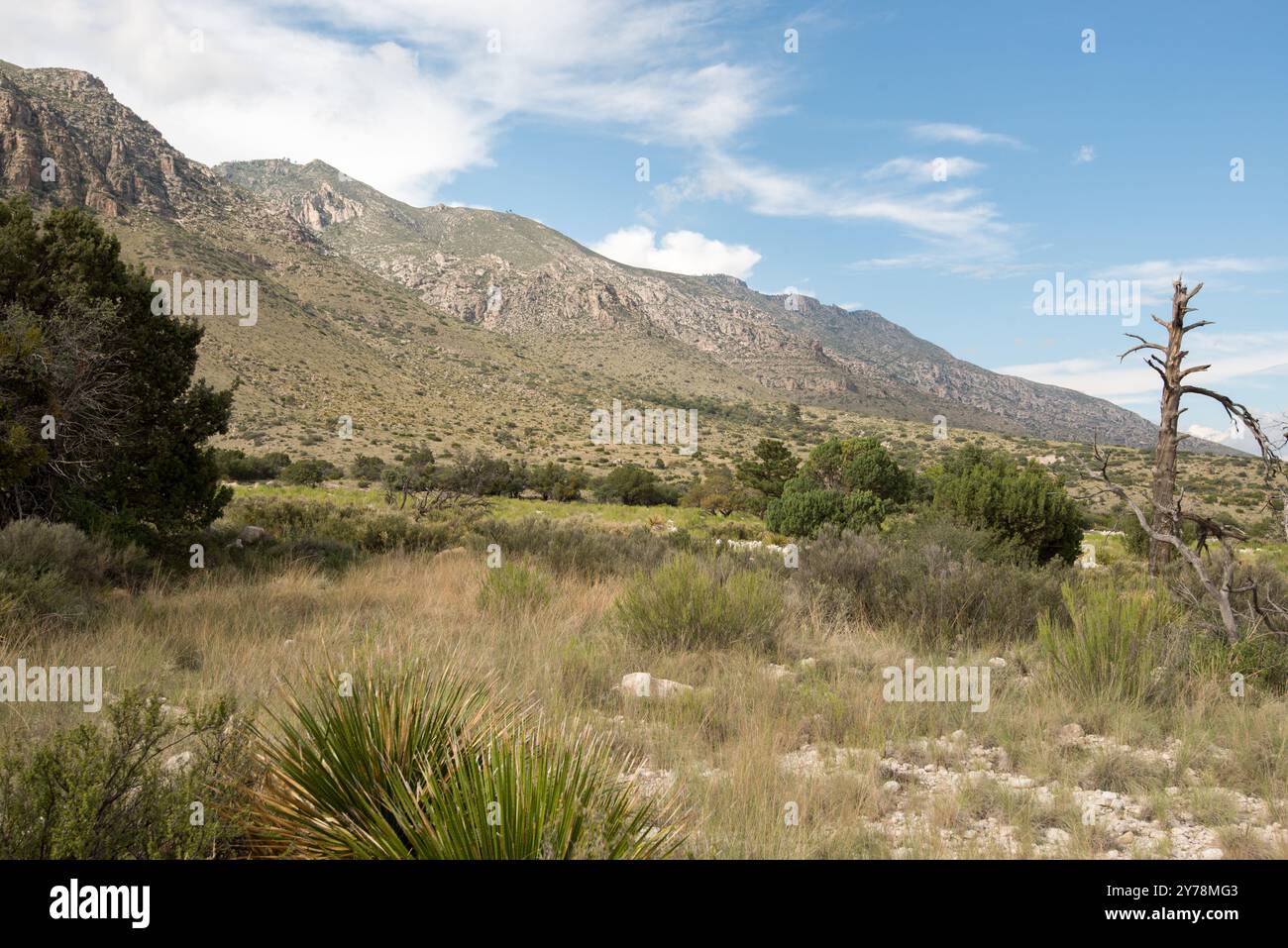 Guadalupe Mountains National Park, Texas Stock Photo - Alamy