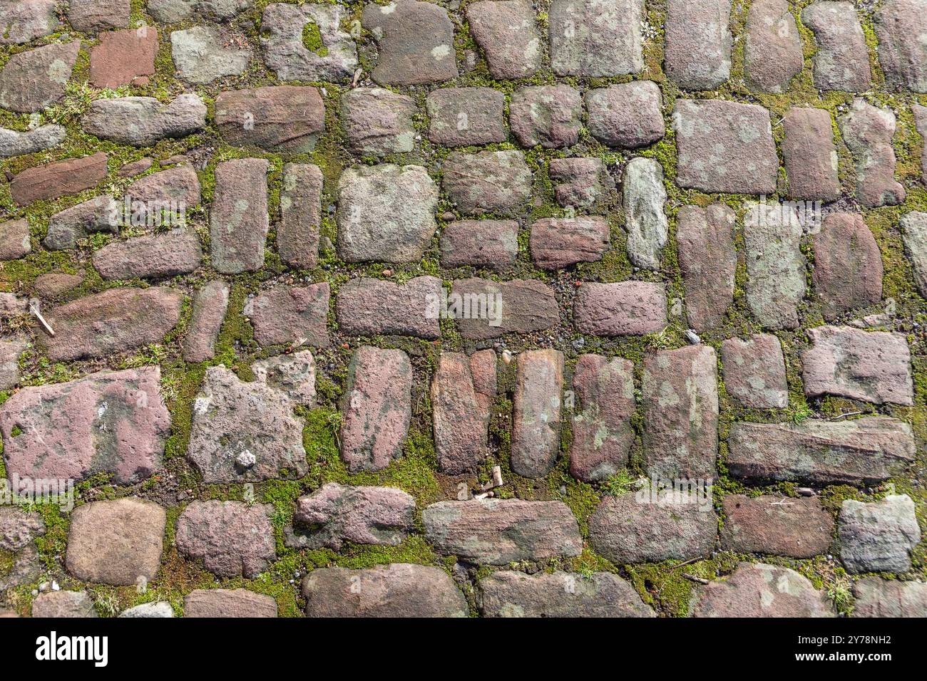 old paved cobblestones at a historic path, mostly sandstone, historic ...