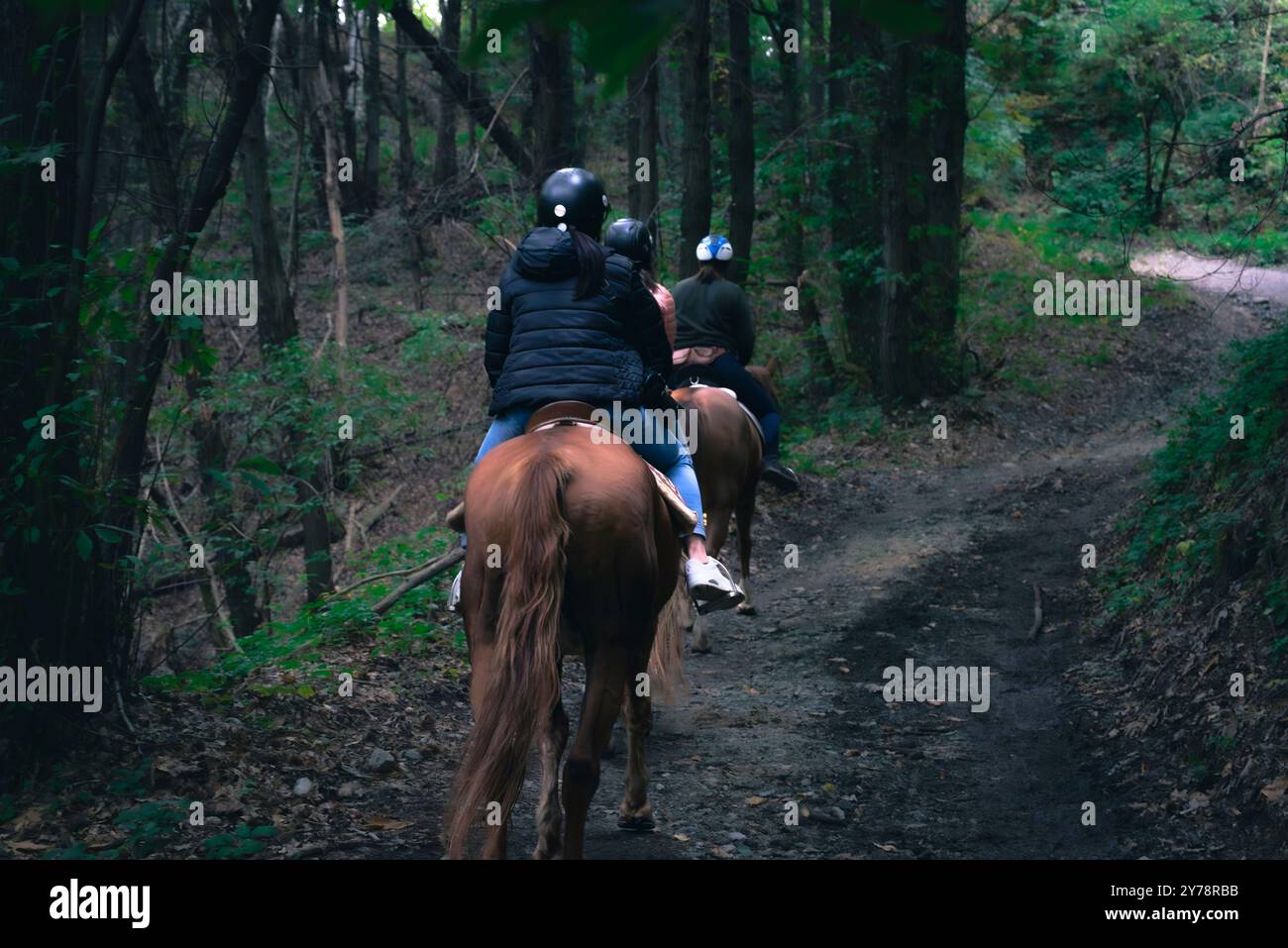 Horse saddle tree mountain hi-res stock photography and images - Alamy