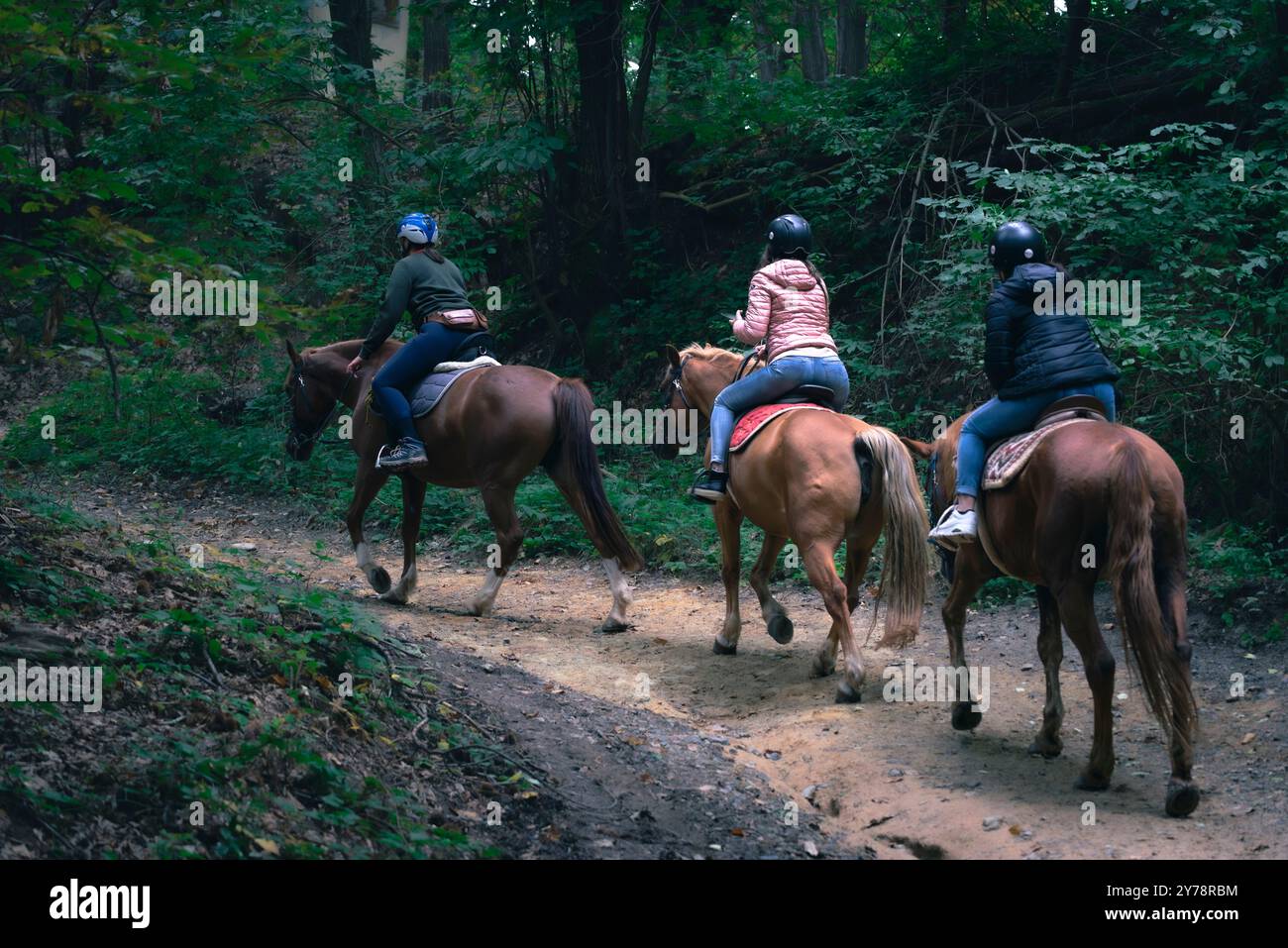 Horseback riding in mountain hi-res stock photography and images - Alamy
