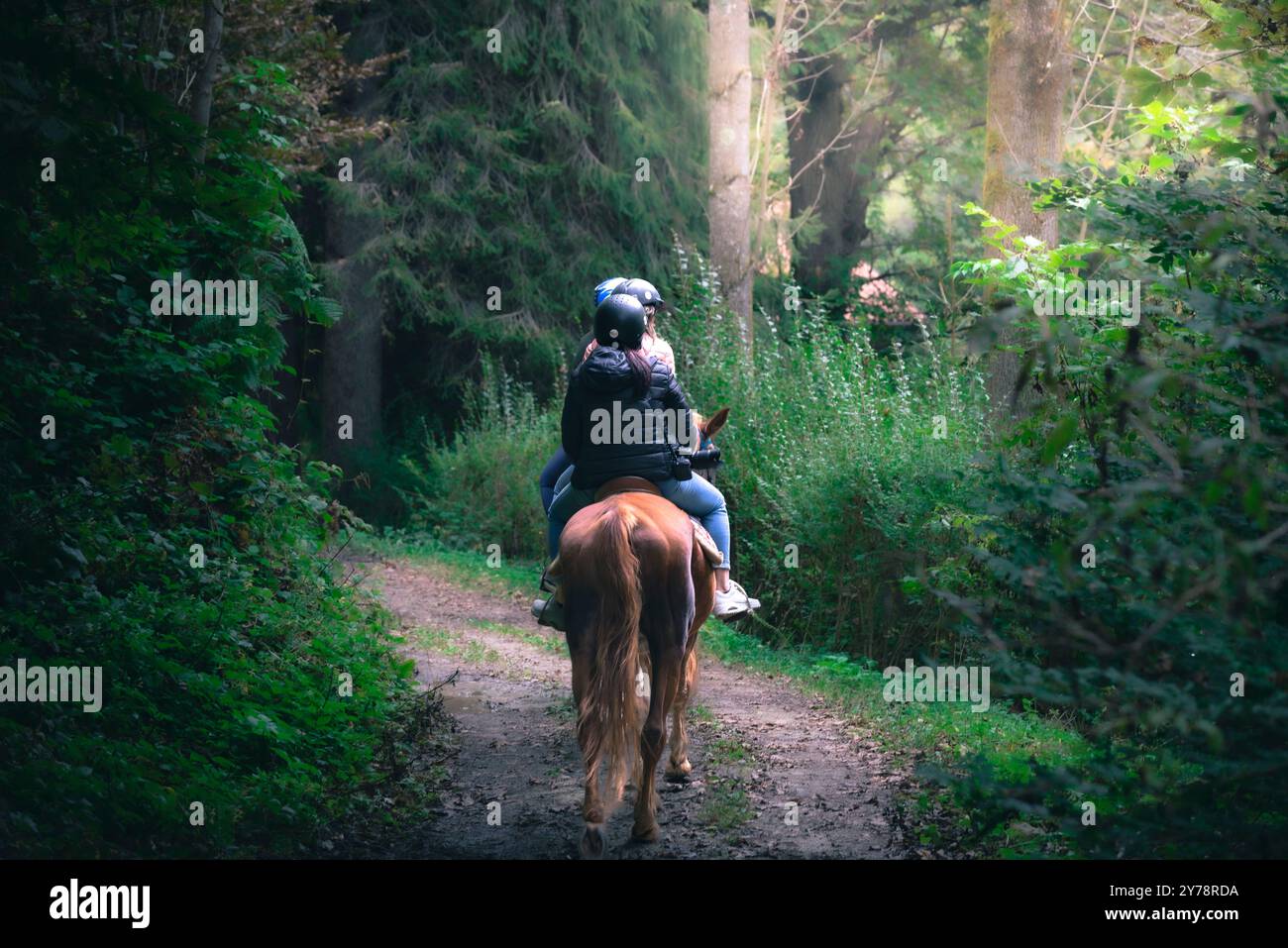 Horseback riding in mountain hi-res stock photography and images - Alamy