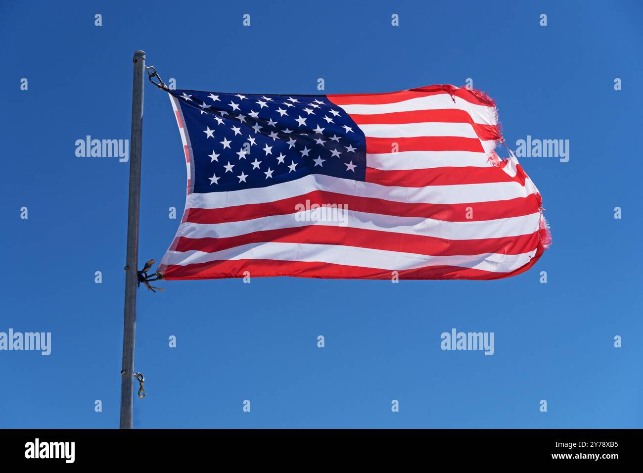 tattered United States of America flag flapping in the wind with blue ...