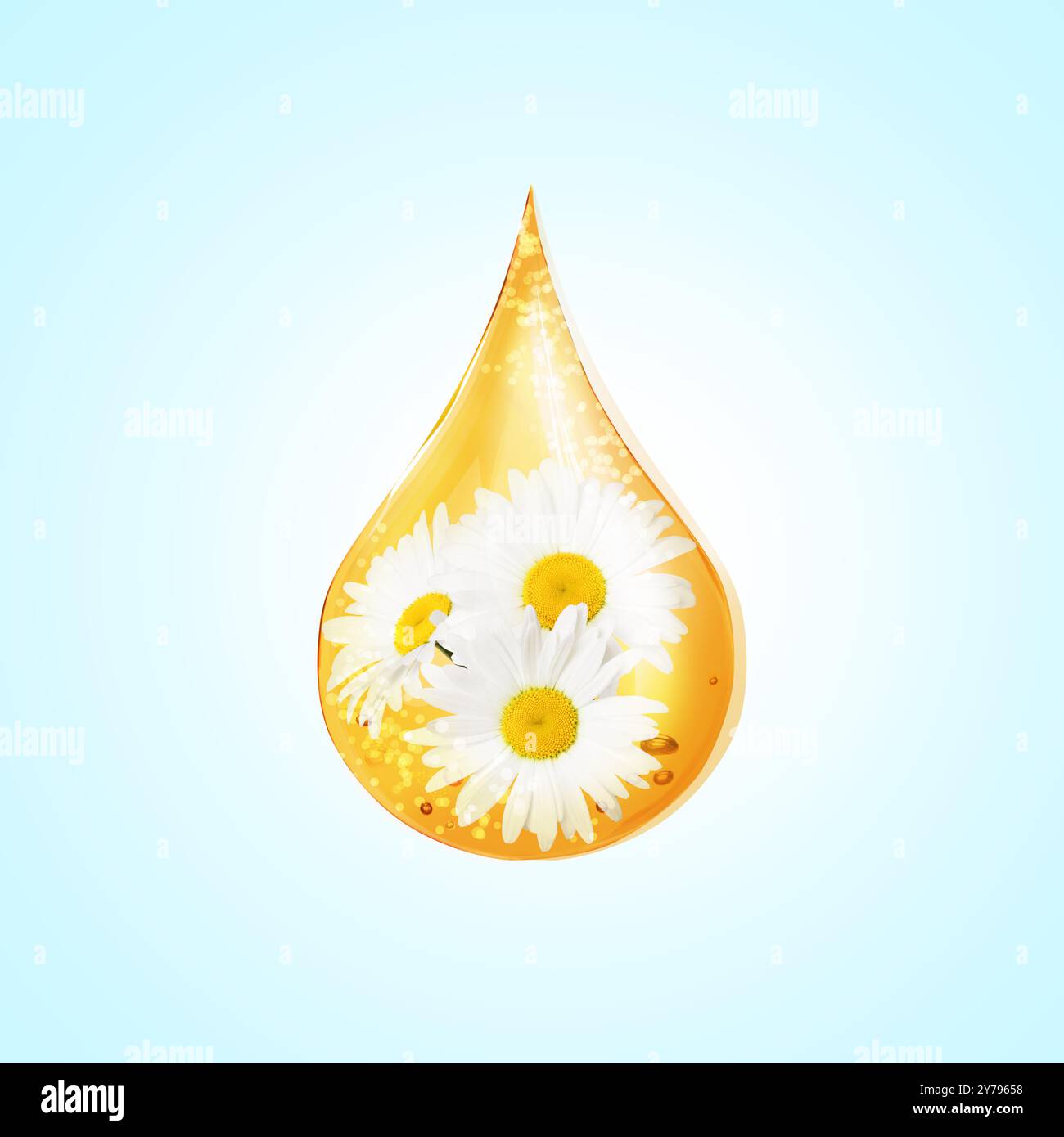 Chamomile oil drop with flowers inside on light blue background Stock ...
