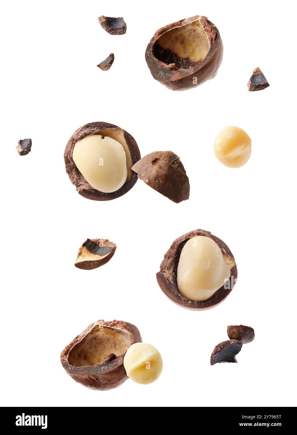 Macadamia nuts and crushed shells in air on white background Stock ...