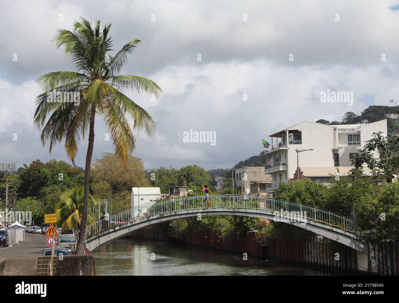 Woman walking on a foot bridge at Canal Levassor with single palm tree ...
