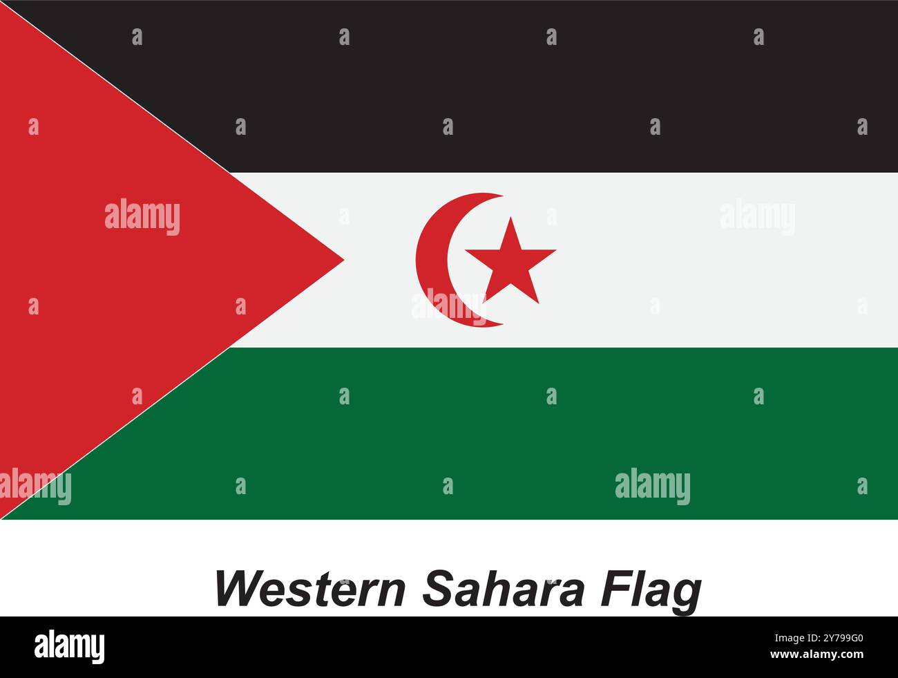Western Sahara flag icon vector illustration symbol design Stock Vector ...