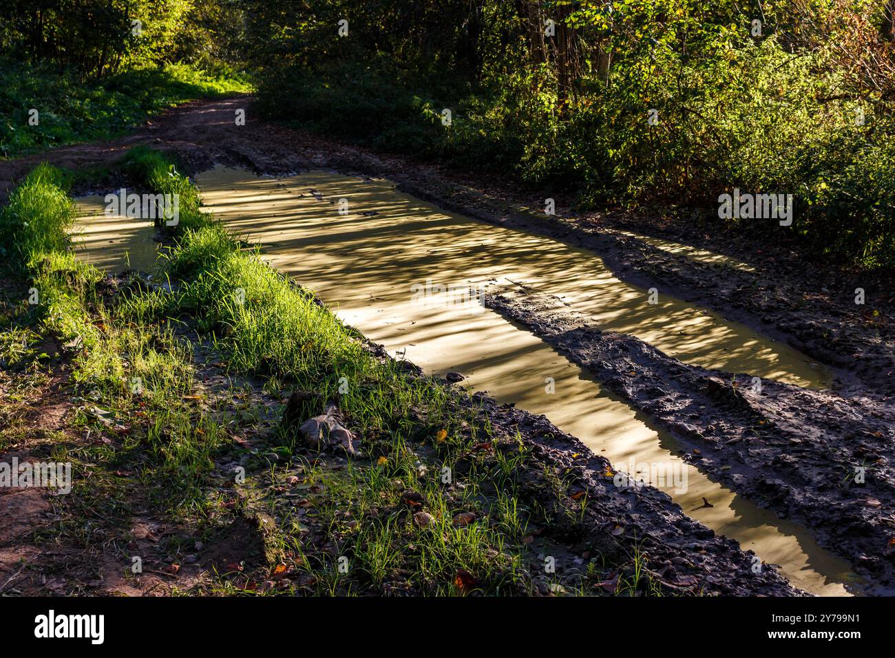 Big green puddle on a country dirt road, off-road trip Stock Photo - Alamy