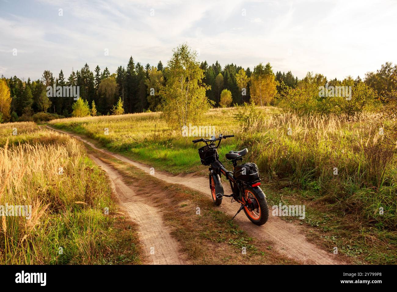 Electric bike ride along scenic nature routes, fatbike on country road ...