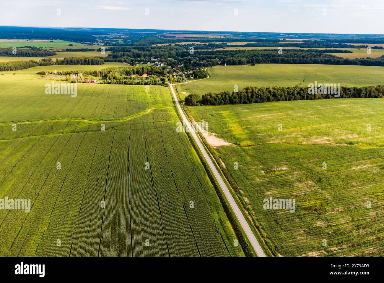 Aerial view of corn fields separated by a highway Stock Photo - Alamy