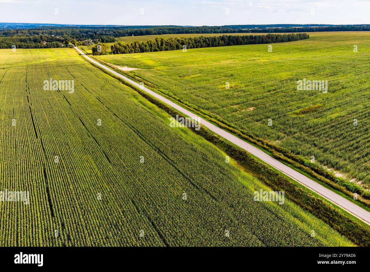 Aerial view of corn fields separated by a highway Stock Photo - Alamy